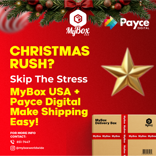 Skip the Stress with MyBox USA! - Payce Digital