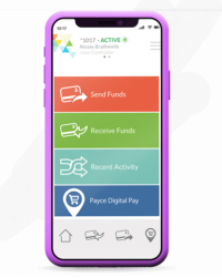 Mobile App - Payce Digital